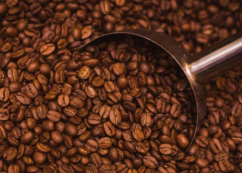Monarca® Coffee - An Inside to our coffee